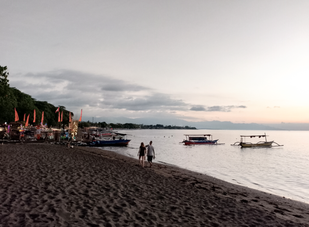 THINGS TO DO IN LOVINA